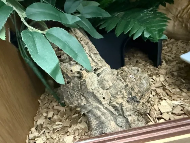 reptile hides for snakes ie pythons by dizzella MakerWorld: Download ...