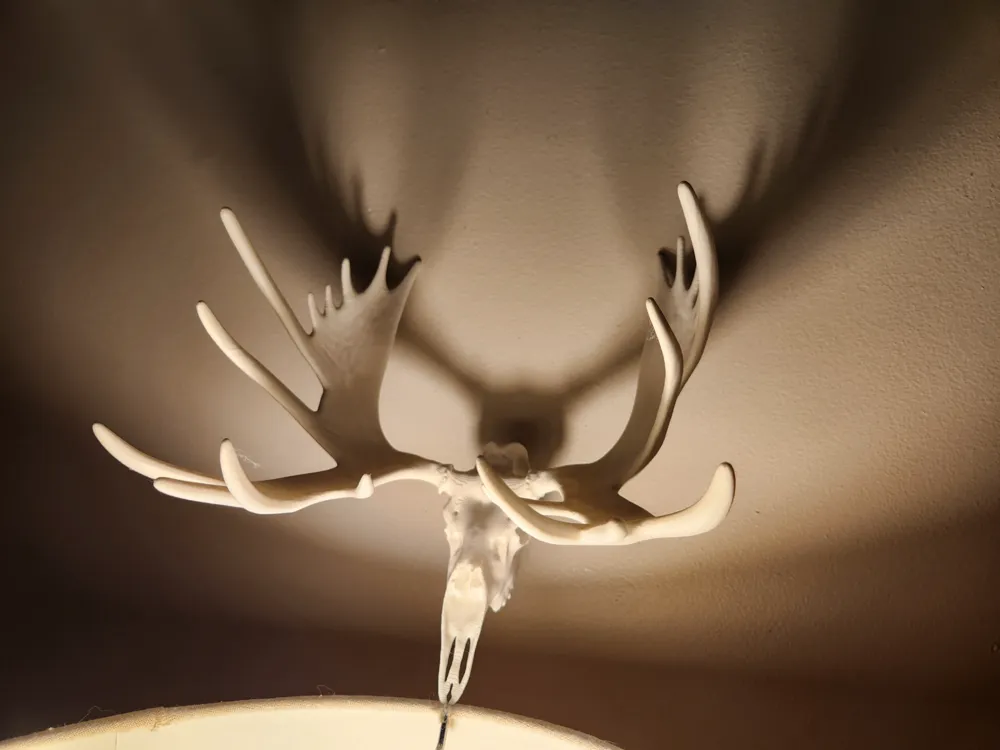 "Moose" Skull by DTM247 MakerWorld: Download Free 3D Models