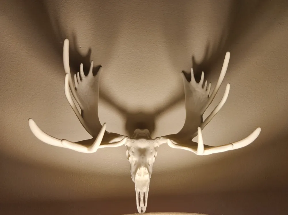 "Moose" Skull by DTM247 MakerWorld: Download Free 3D Models