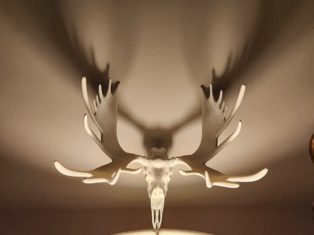 "Moose" Skull by DTM247 MakerWorld: Download Free 3D Models