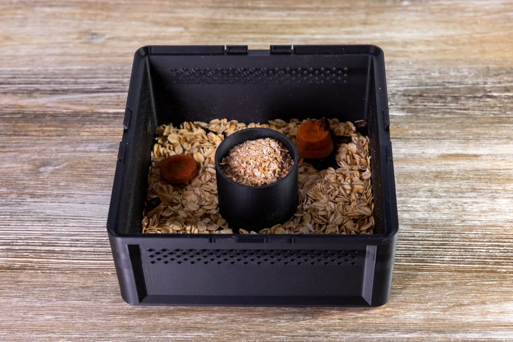 Mini Mealworm Farm by dry3210 MakerWorld: Download Free 3D Models