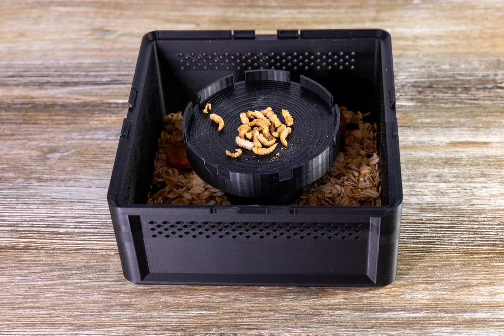 Mini Mealworm Farm by dry3210 MakerWorld: Download Free 3D Models