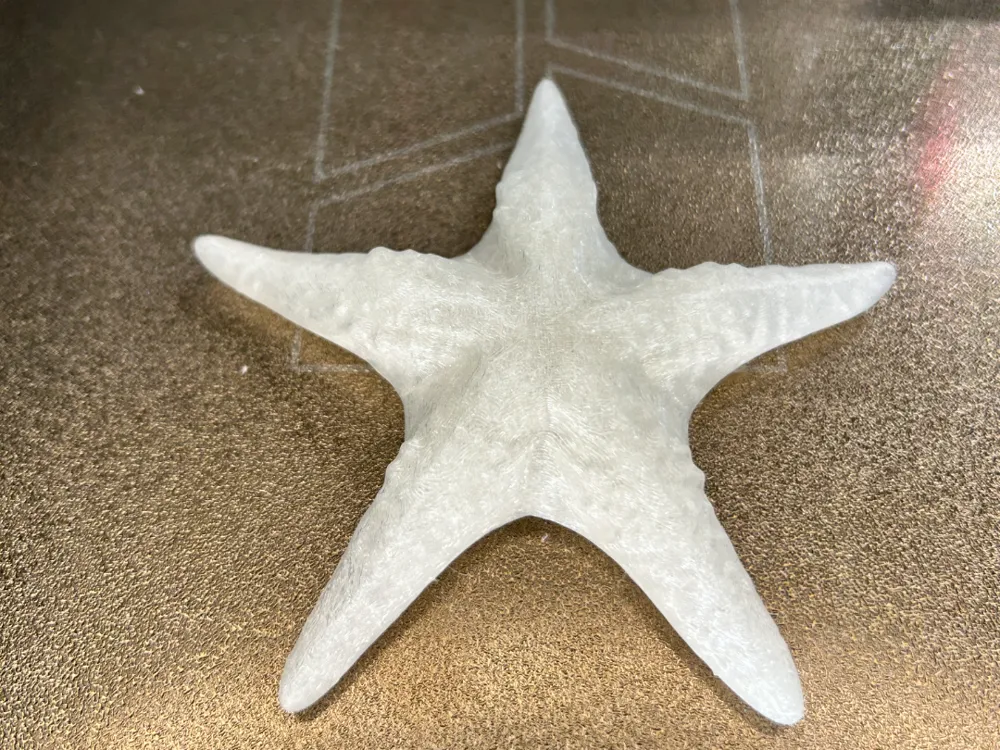 Starfish by T-Steele-W Creations MakerWorld: Download Free 3D Models