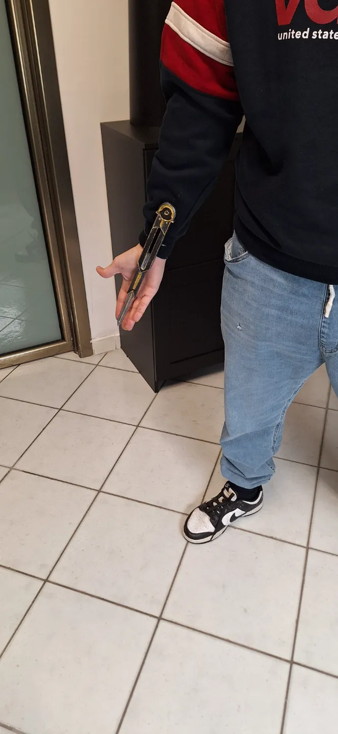 Lama celata assassin's creed Cosplay by Louis_3D MakerWorld: Download ...