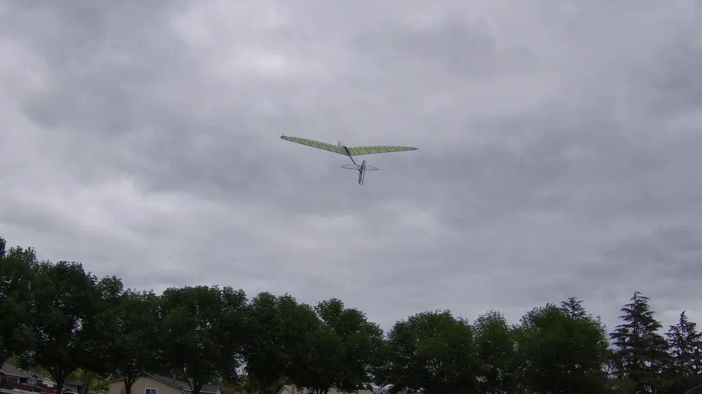 "CARBON BUG" - ALL CARBON, 3D PRINTED DLG by geode.rc MakerWorld ...