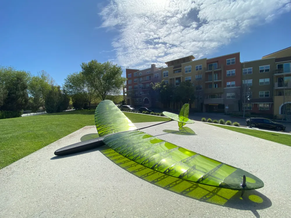 "CARBON BUG" - ALL CARBON, 3D PRINTED DLG by geode.rc MakerWorld ...