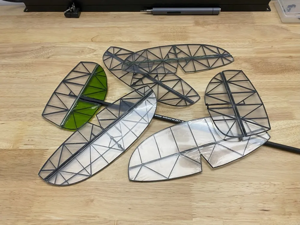 "CARBON BUG" - ALL CARBON, 3D PRINTED DLG by geode.rc MakerWorld ...