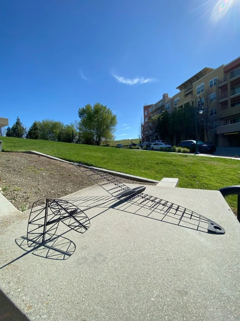 "CARBON BUG" - ALL CARBON, 3D PRINTED DLG by geode.rc MakerWorld ...