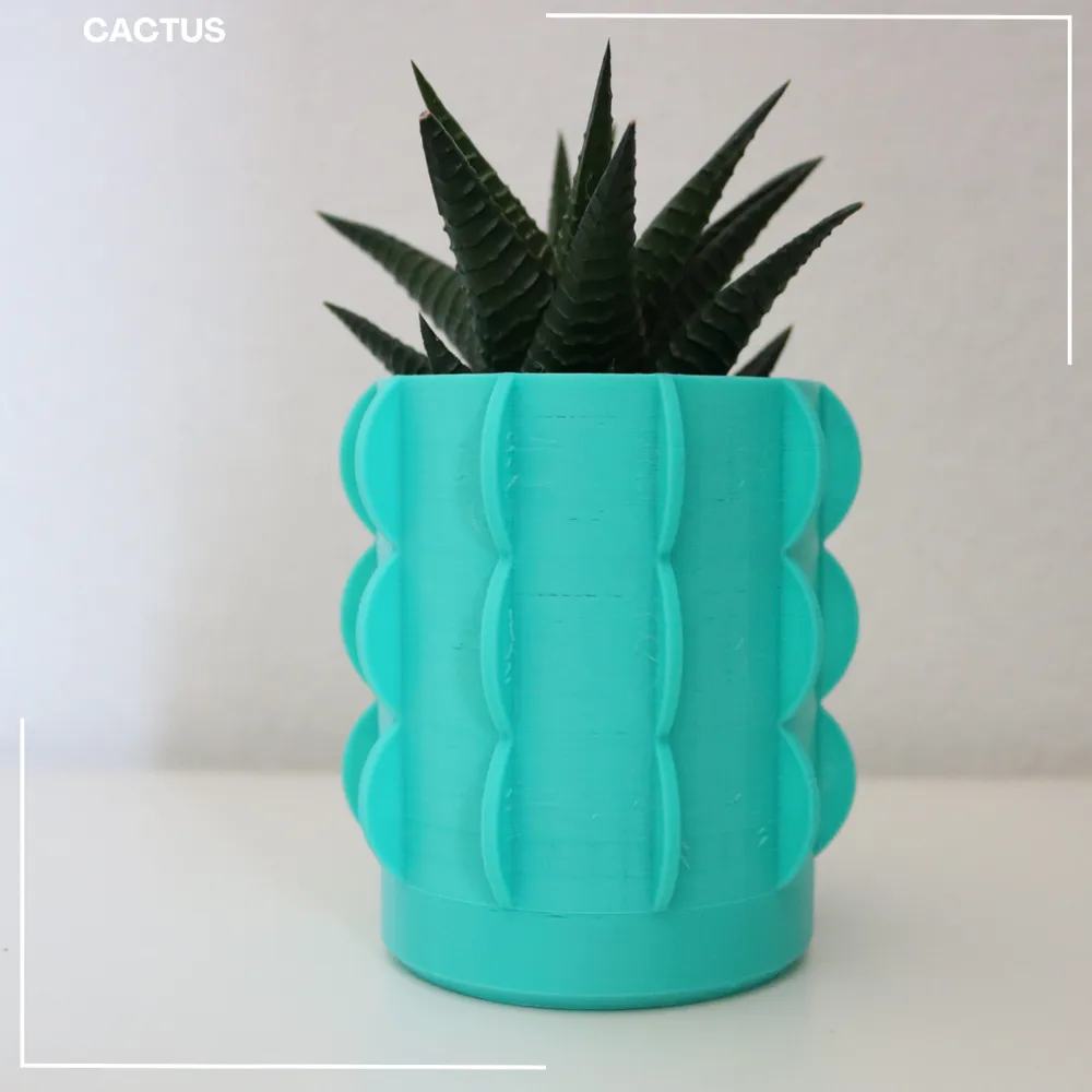 Cactus Vase / Planter by BRB Project - MakerWorld