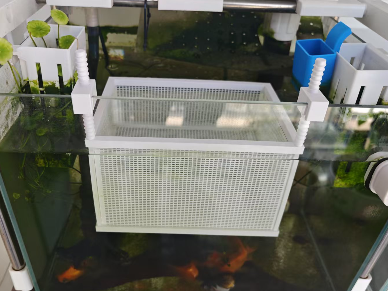 Fish Tank Isolation Box, Hatching Box, Breeding Box with Adjustable ...