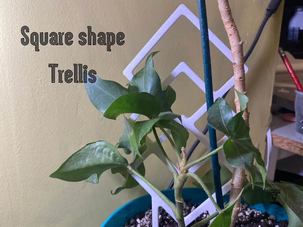 Square shape trellis by LayerWise Creations - MakerWorld