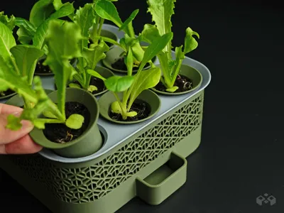 Self Watering Seed Starter with Modular Grow Kit by Meyui MakerWorld: Download Free 3D Models