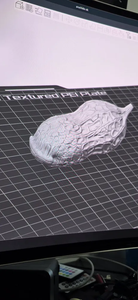 Realistic peanut fruit - Free 3D Print Model - MakerWorld