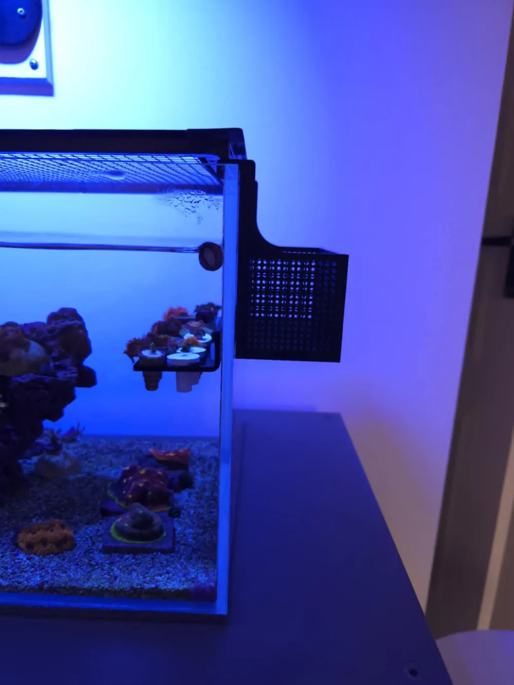 Coral Frag Mushroom Basket Marine Reef Aquariums - Free 3D Print Model ...