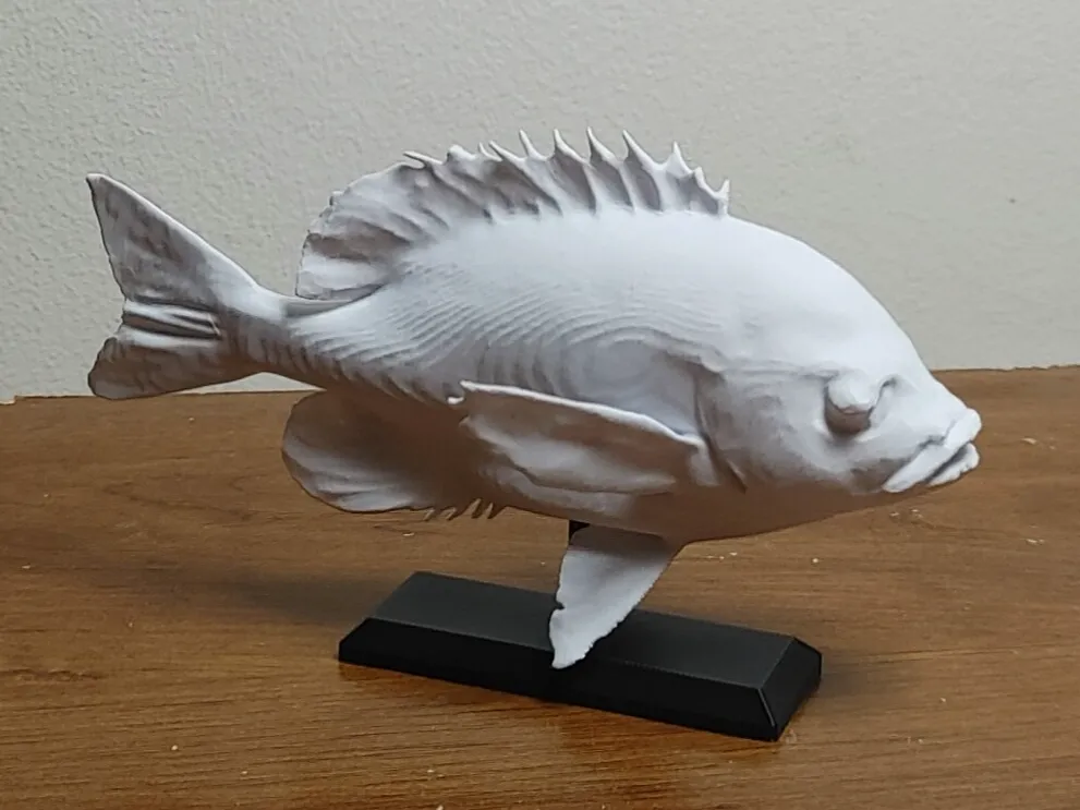 Bluegill Fish Mount - Free 3D Print Model - MakerWorld