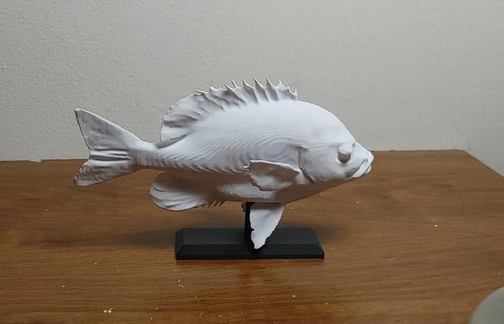 Bluegill Fish Mount - Free 3D Print Model - MakerWorld