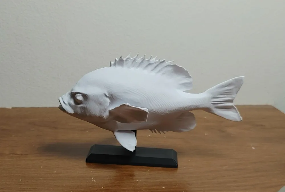 Bluegill Fish Mount - Free 3D Print Model - MakerWorld