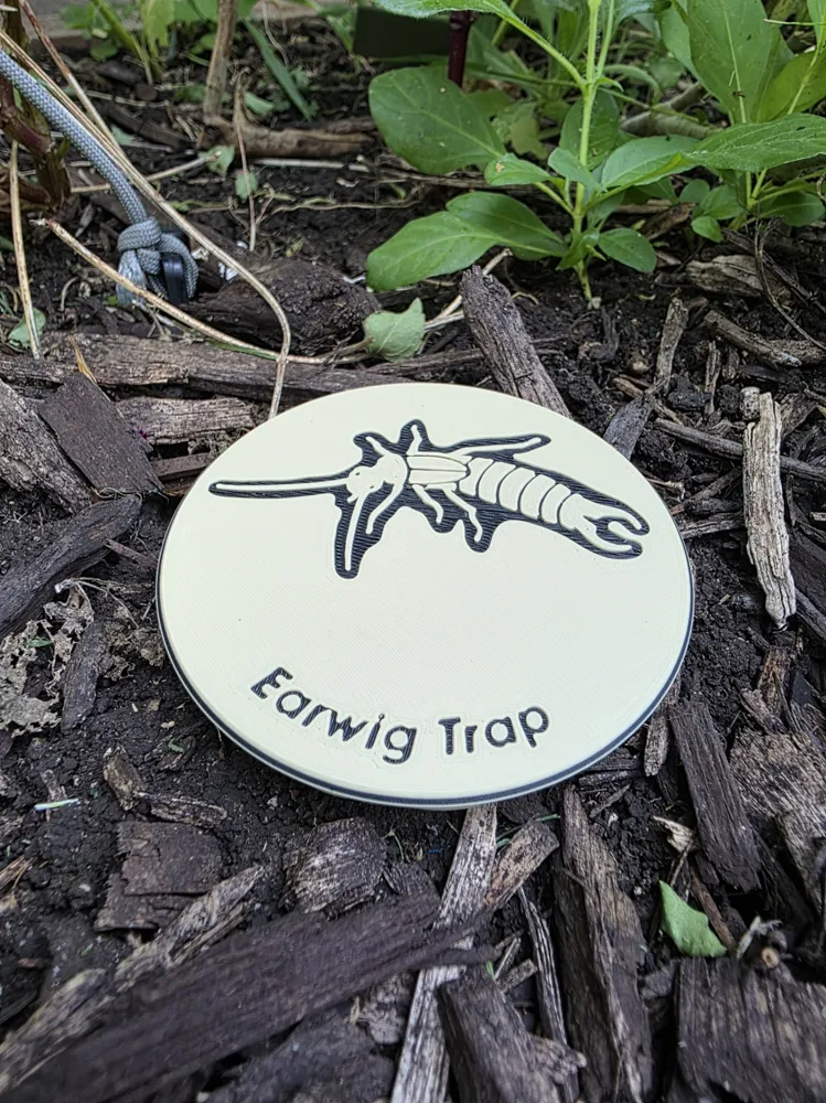 Earwig Trap by Overton_Prints MakerWorld: Download Free 3D Models