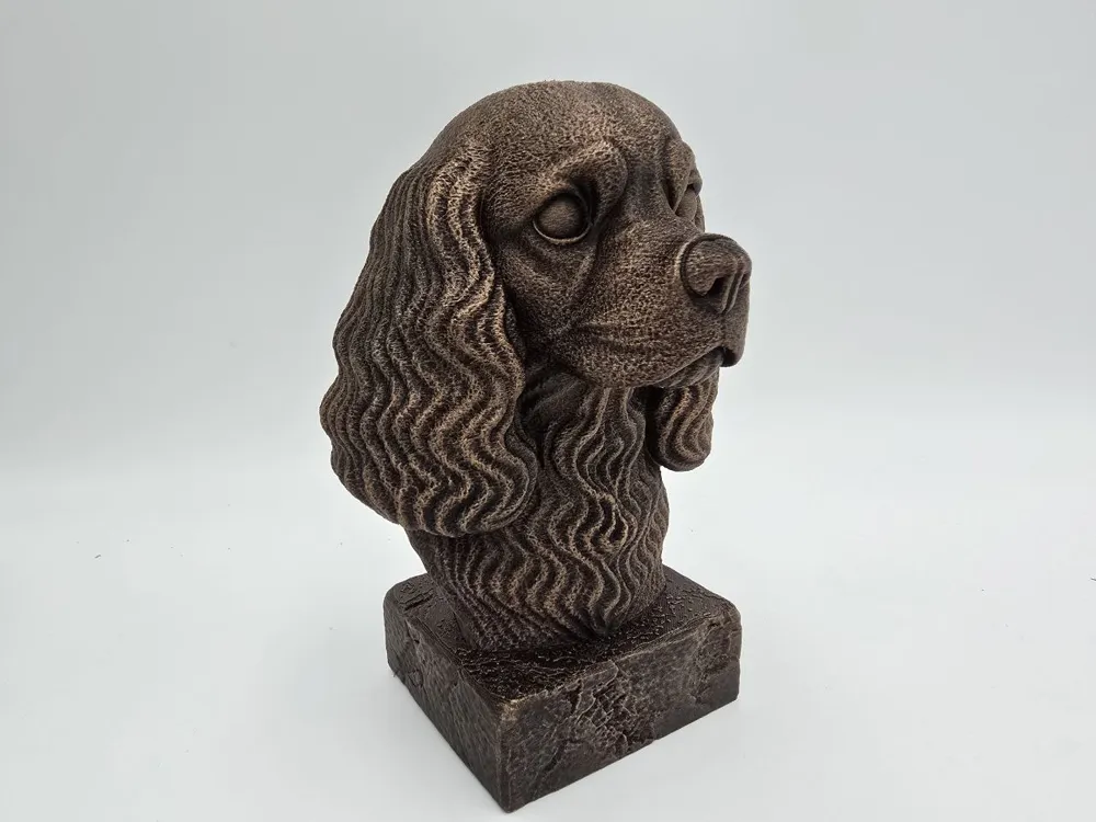 CAVALIER KING CHARLES SPANIEL BUST by Messy_Panda MakerWorld: Download ...