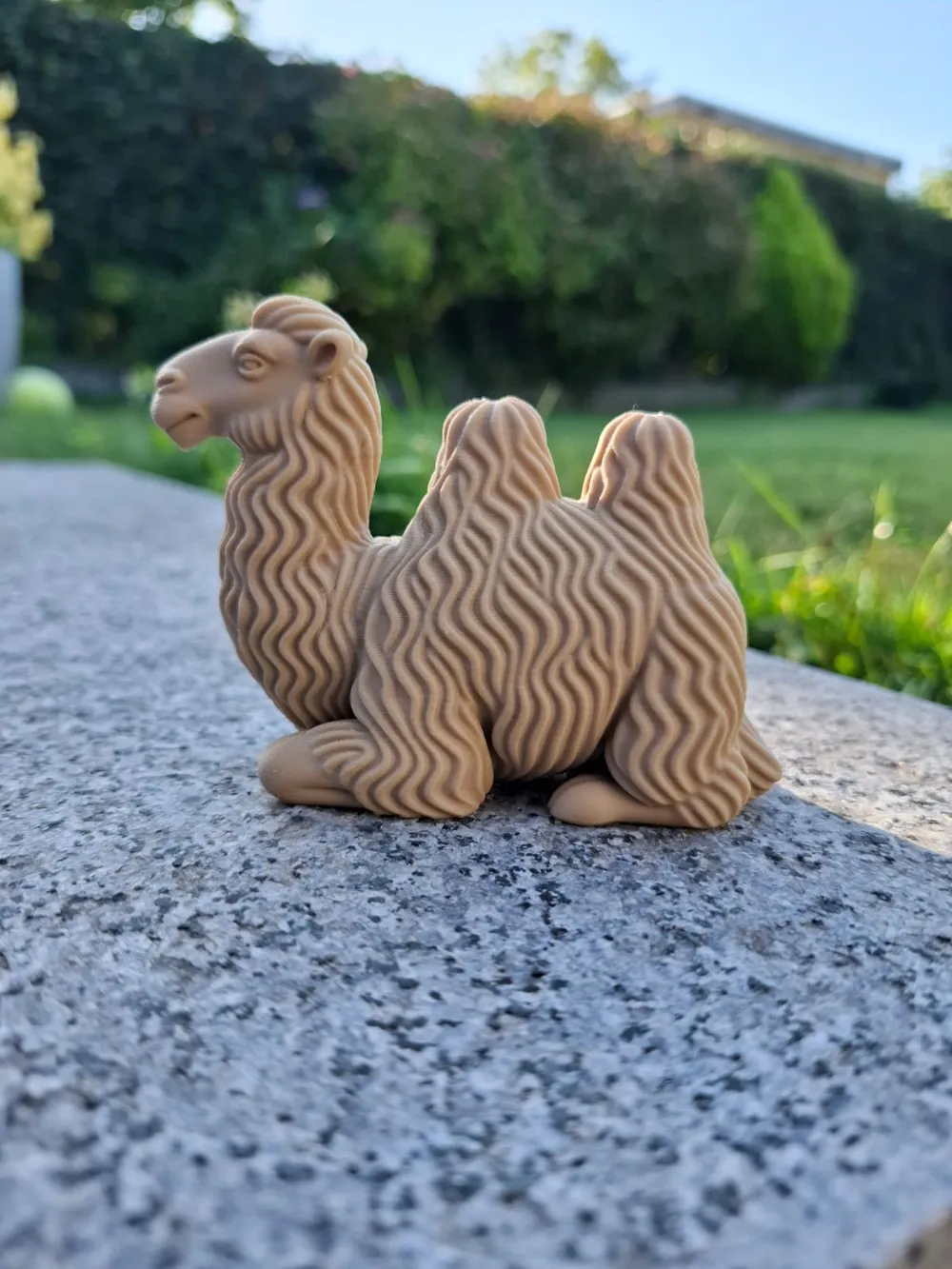Chill Bactrian Camel – Cute Desert Buddy by Koffiekoek MakerWorld ...