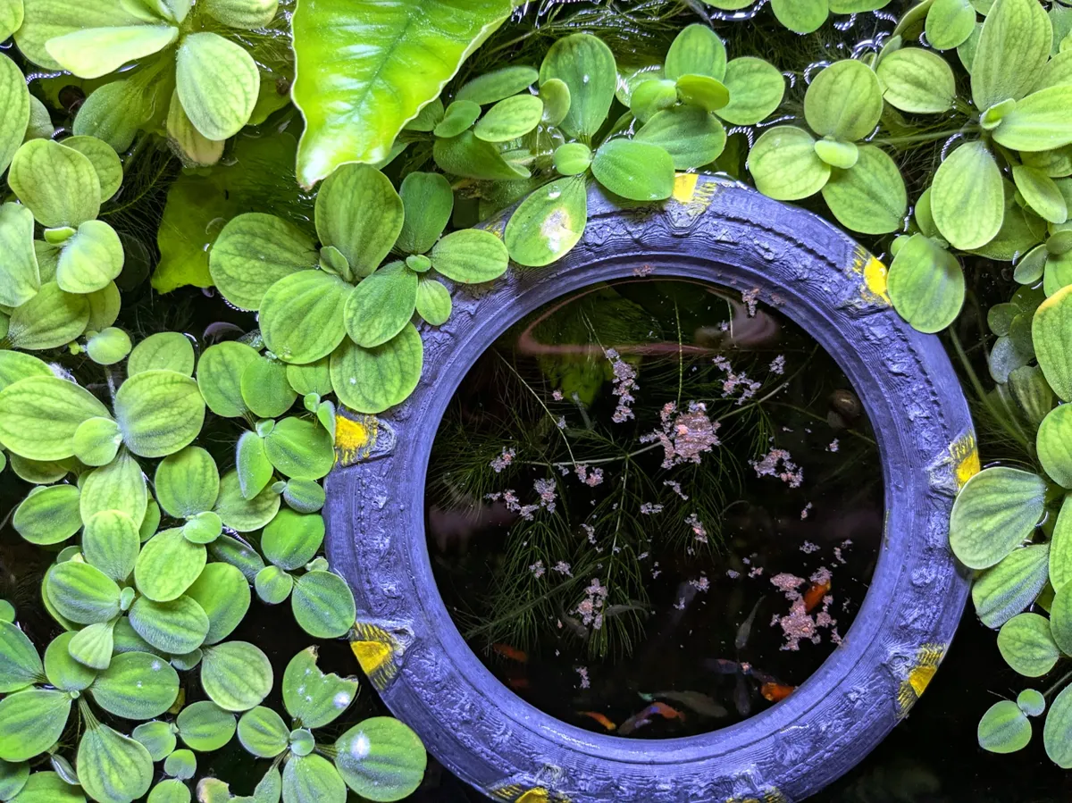 Stargate Fish Floating Feeding Ring - Aquarium - Free 3D Print Model ...