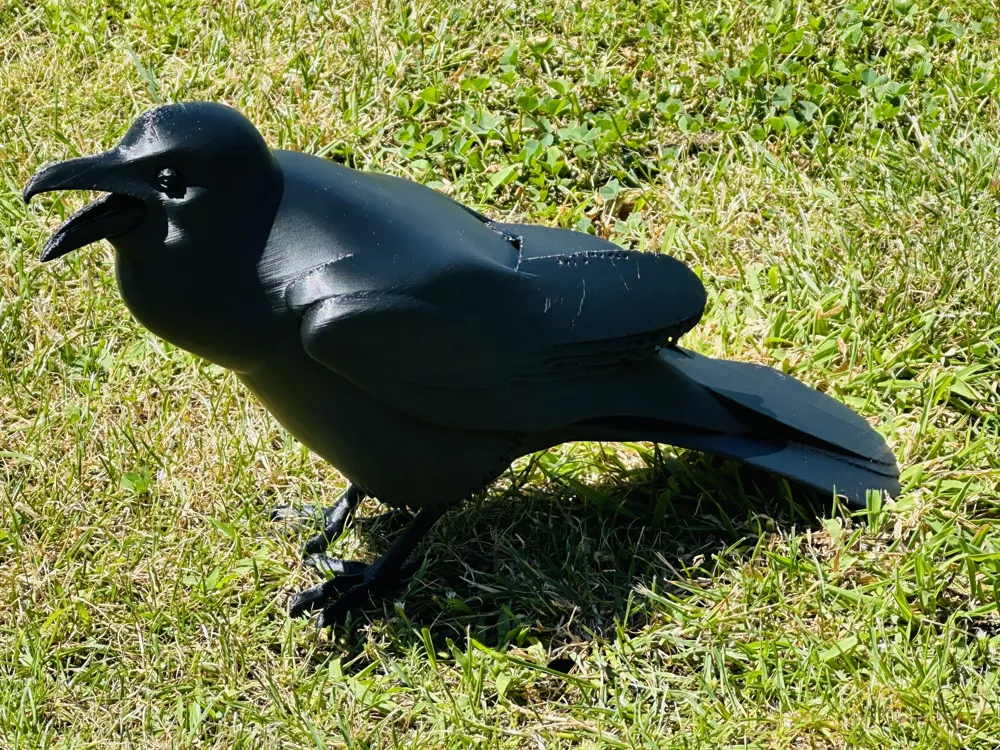 Standing Crow with Open Beak - Free 3D Print Model - MakerWorld