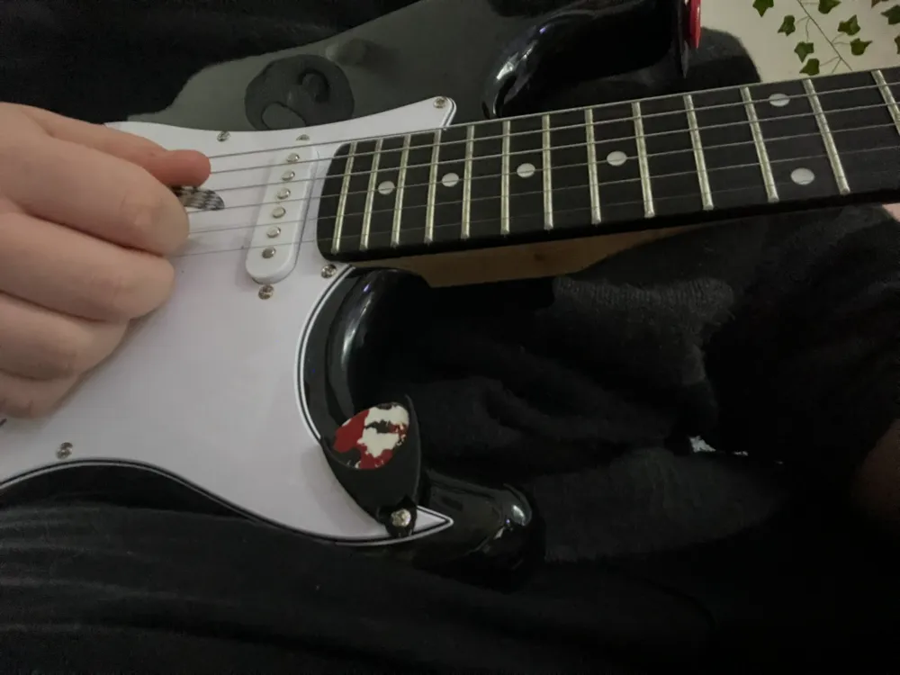 Guitar Pick Holder on Guitar (Pickguard) - Free 3D Print Model - MakerWorld