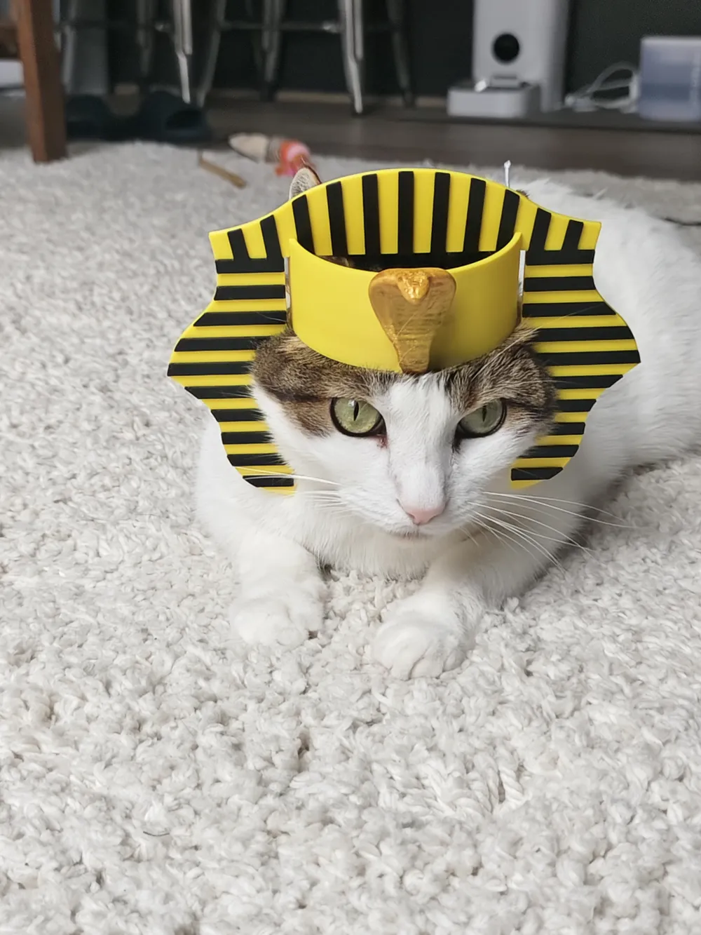 Egyptian Cat Hat / Sphinx Hat / Halloween Costume by mini_the_cat ...