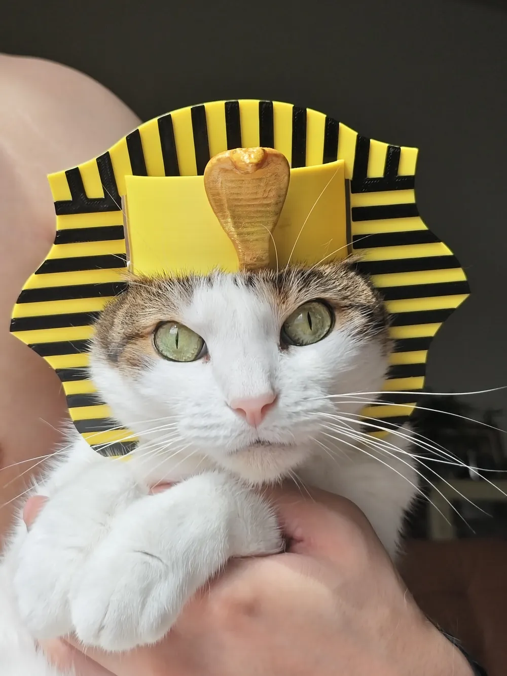 Egyptian Cat Hat / Sphinx Hat / Halloween Costume by mini_the_cat ...