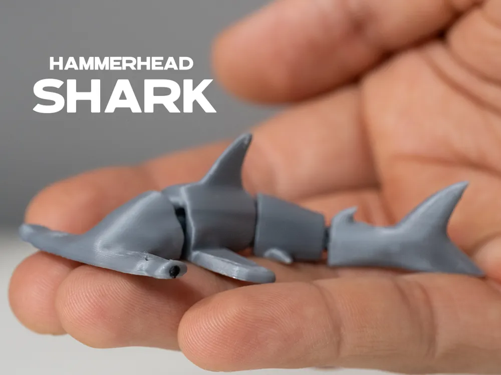 Hammerhead Shark - Articulated - Free 3D Print Model - MakerWorld