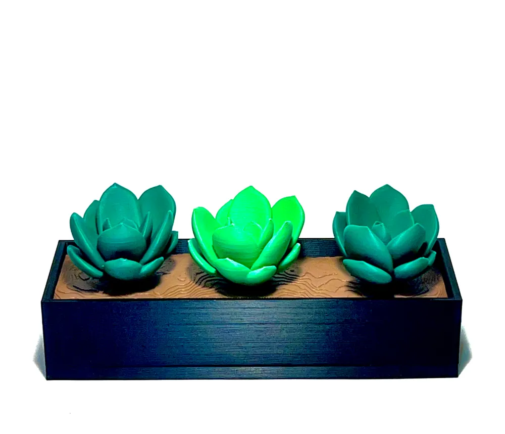 BloomBox Mini Succulents with Planter - Free 3D Print Model - MakerWorld