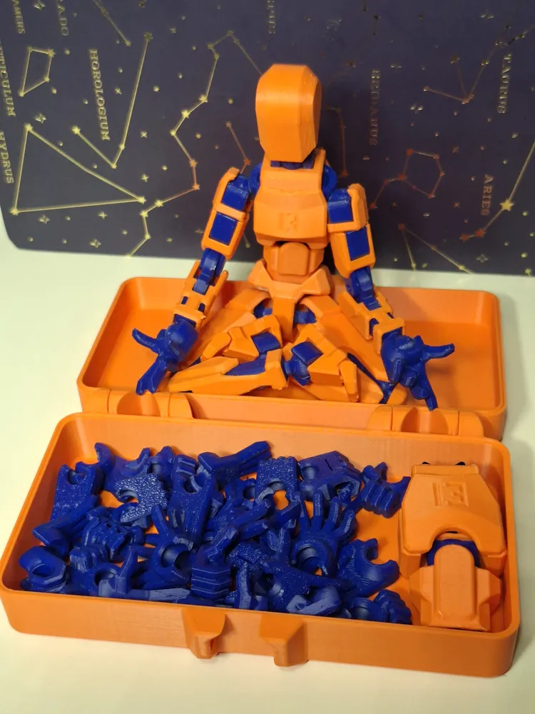 Boîte de rangement pour accessoires pour Dummy 13 pour mains à 150% ...