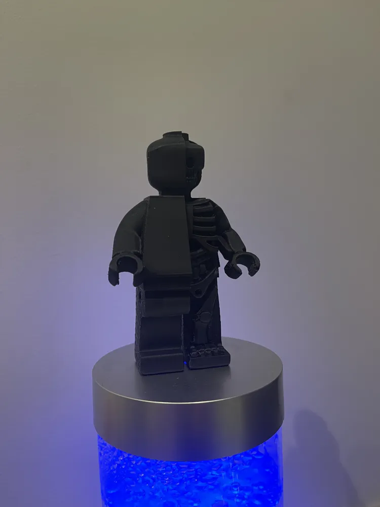 Inside the Brick: Ultimate Block-Man Skeleton - Free 3D Print Model ...