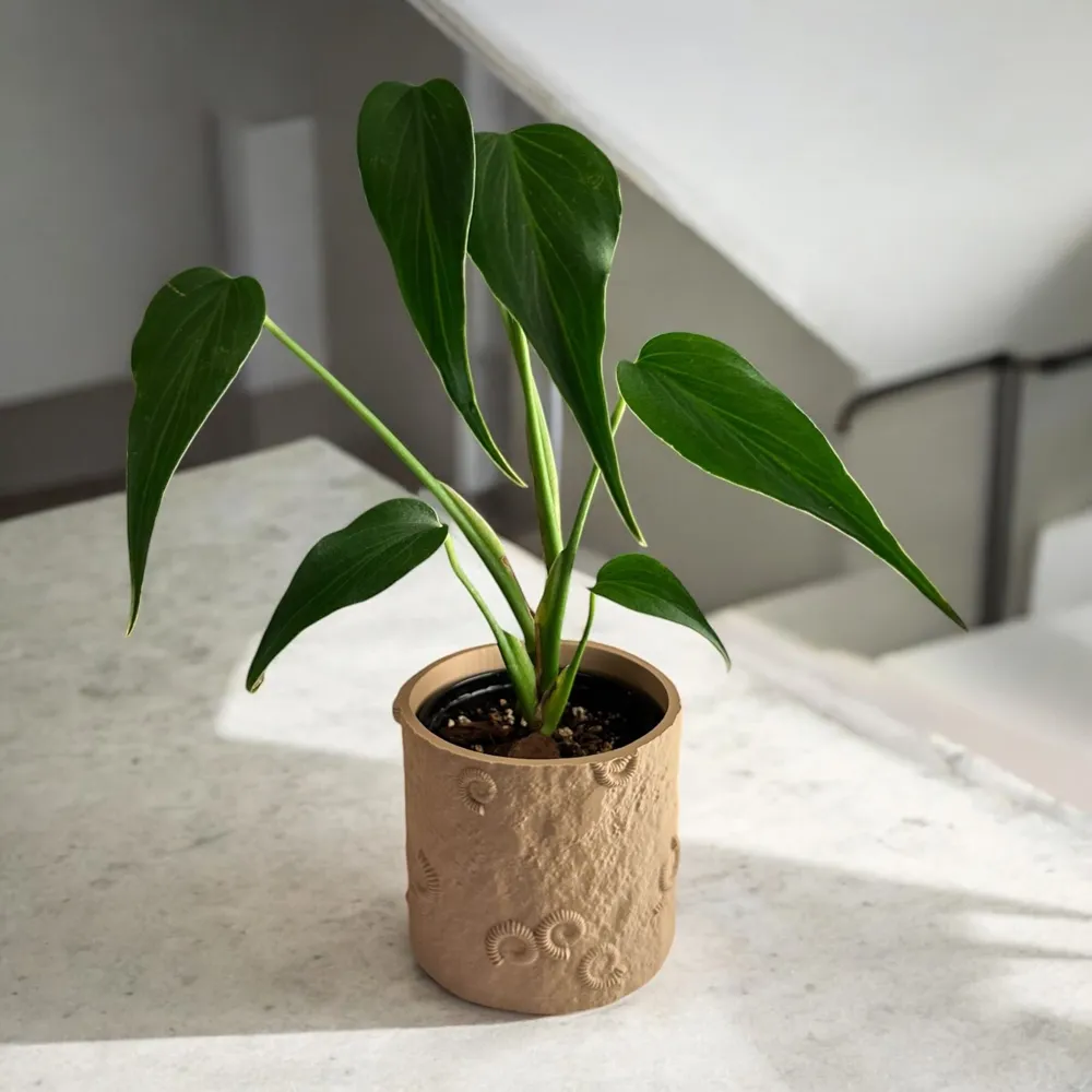 Plant Pot "Fossil" by TreeD-prints MakerWorld: Download Free 3D Models