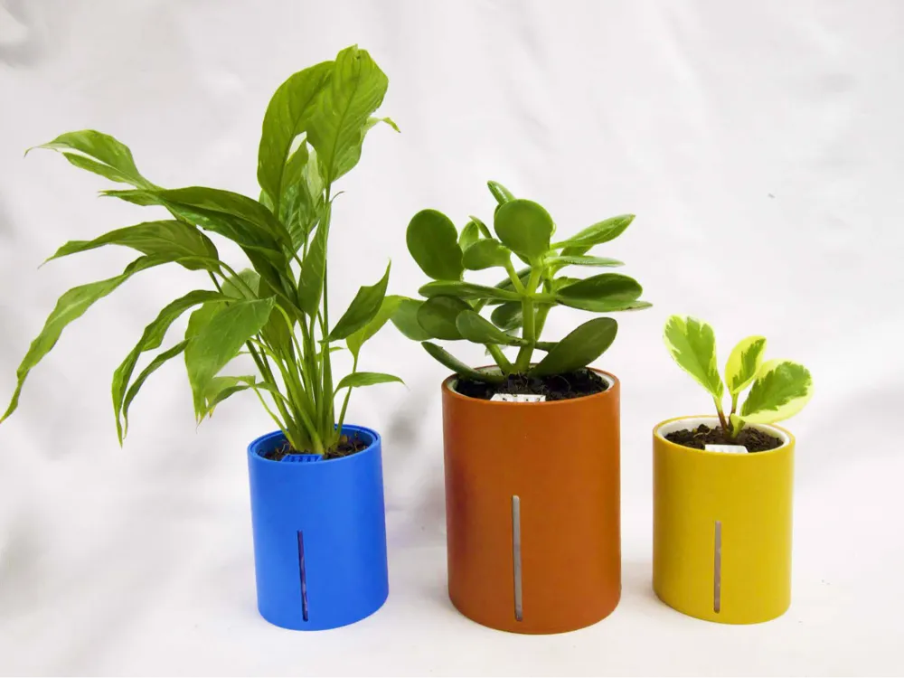 Self watering plant pot | Plantatio - Free 3D Print Model - MakerWorld