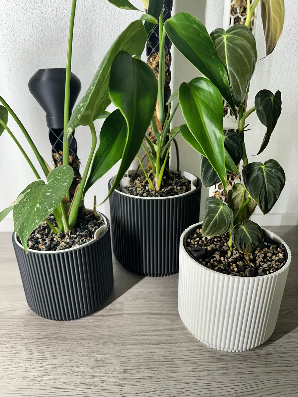 Customizable Ribbed Plant Pot - Parametric Pot - Free 3D Print Model ...