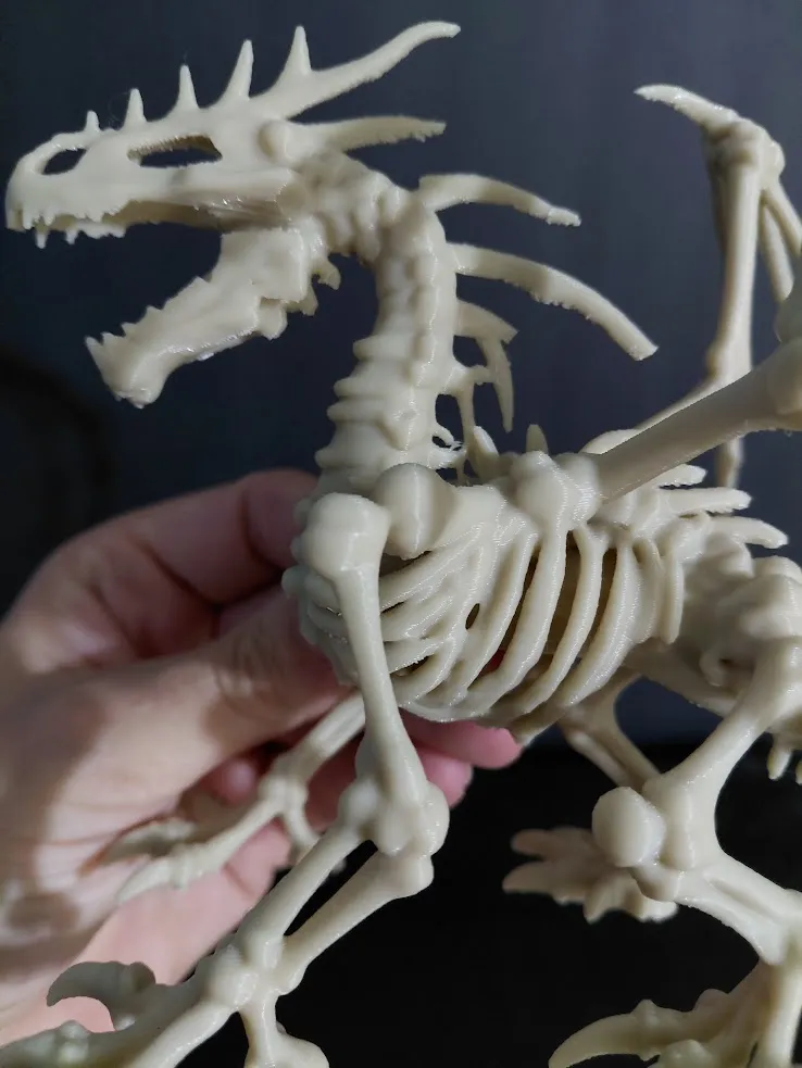 Bone Dragon by Elizabeth MakerWorld: Download Free 3D Models
