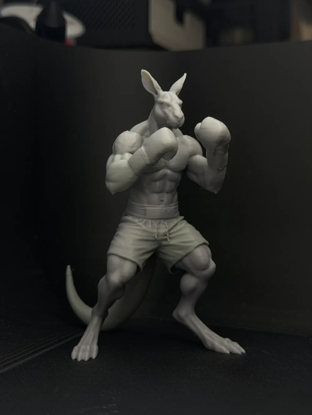 Boxing Kangaroo - Free 3D Print Model - MakerWorld