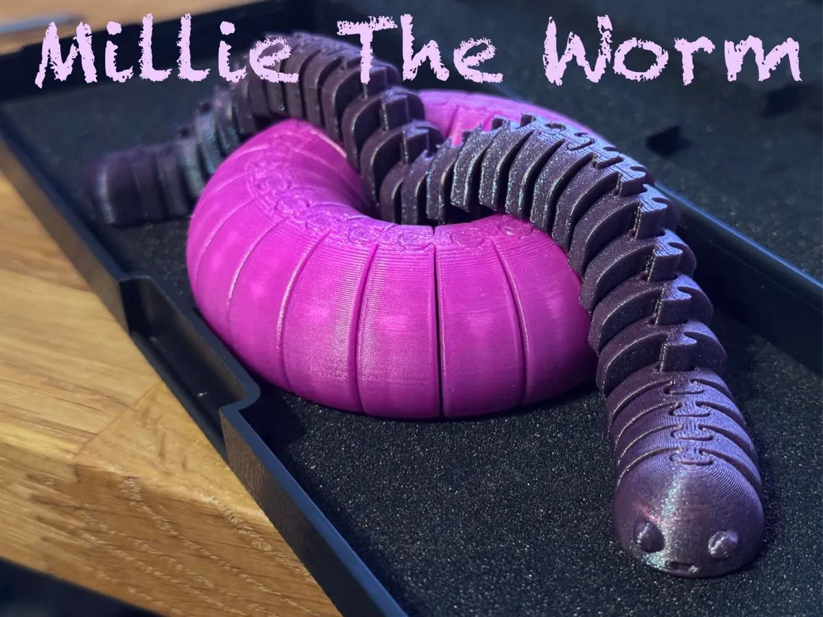 Worm Slider Fidget - Free 3D Print Model - MakerWorld