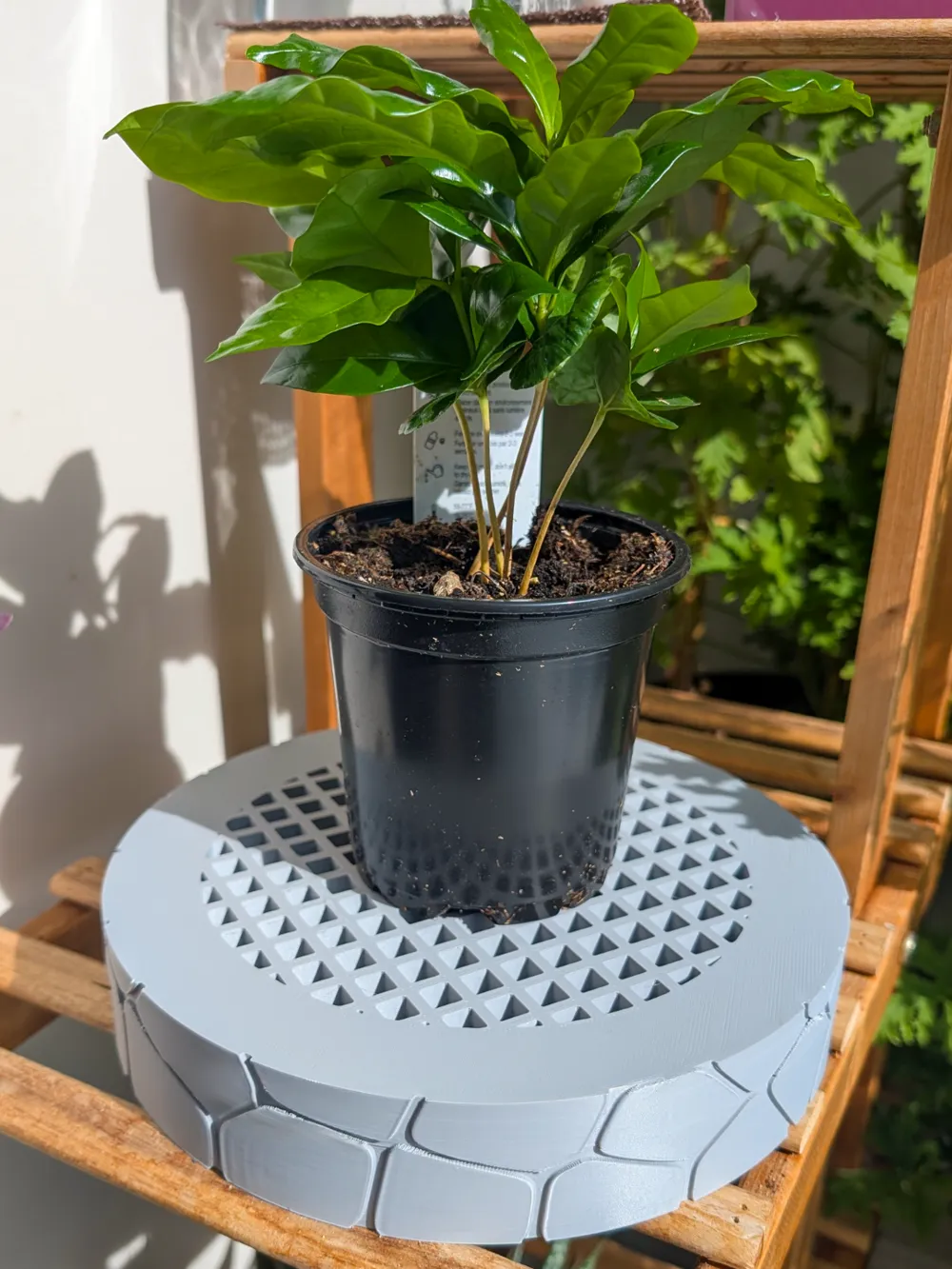 Humidity Tray for Plants - Free 3D Print Model - MakerWorld