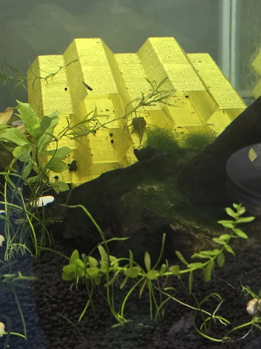 Shrimp / Pleco Hotel Caves by Cluckin' Shrimp MakerWorld: Download Free ...