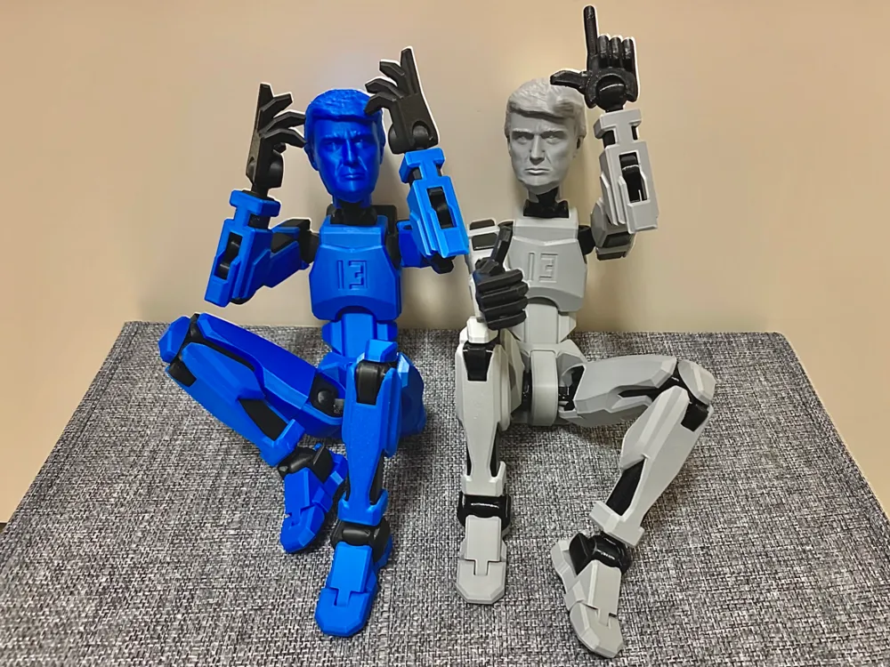 Dummy 13 - Donald Trump Head Remixed by roby85r MakerWorld: Download ...