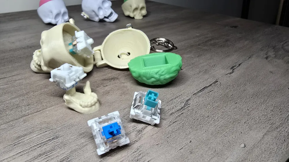 Fidget Skull Box V2: Jaw and Brain, Double Click!! by Spandolage3D ...