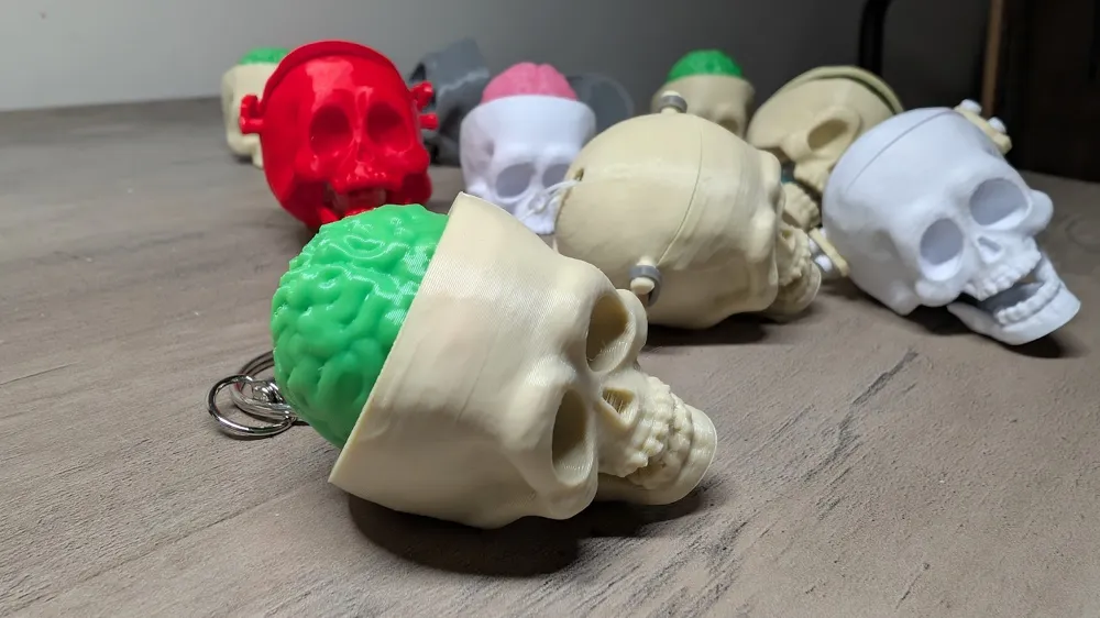 Fidget Skull Box V2: Jaw and Brain, Double Click!! by Spandolage3D ...