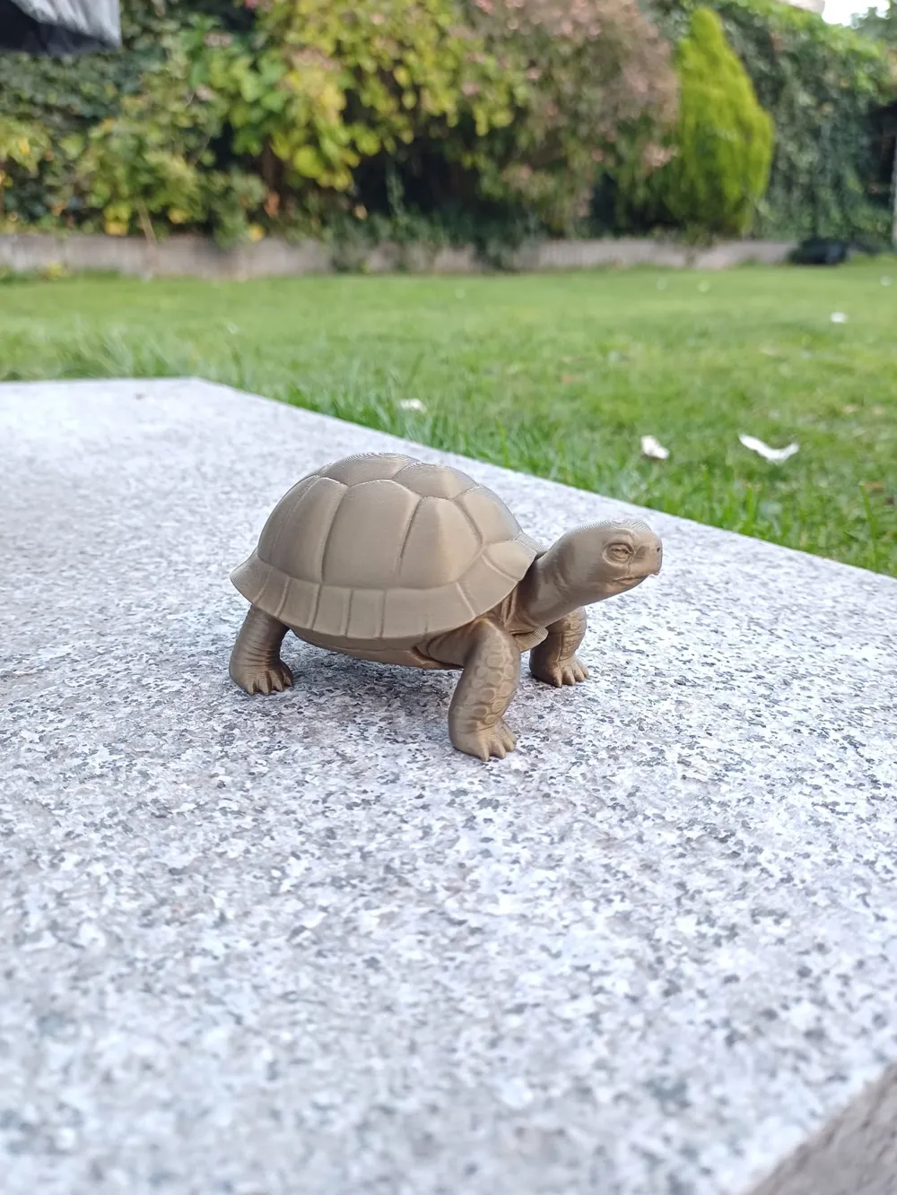 Tortoise Buddy – Slow and Steady Cuteness - Free 3D Print Model ...