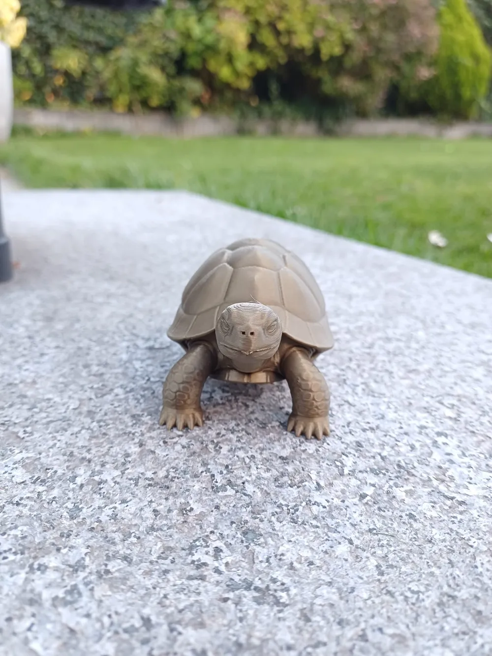 Tortoise Buddy – Slow and Steady Cuteness - Free 3D Print Model ...