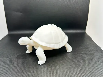 3d printed tortoise - MakerWorld