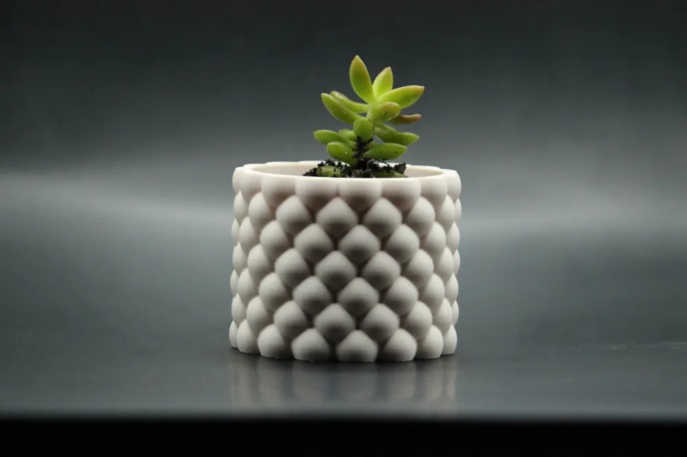 Modern Succulent Pot by Little Mac Designs - MakerWorld