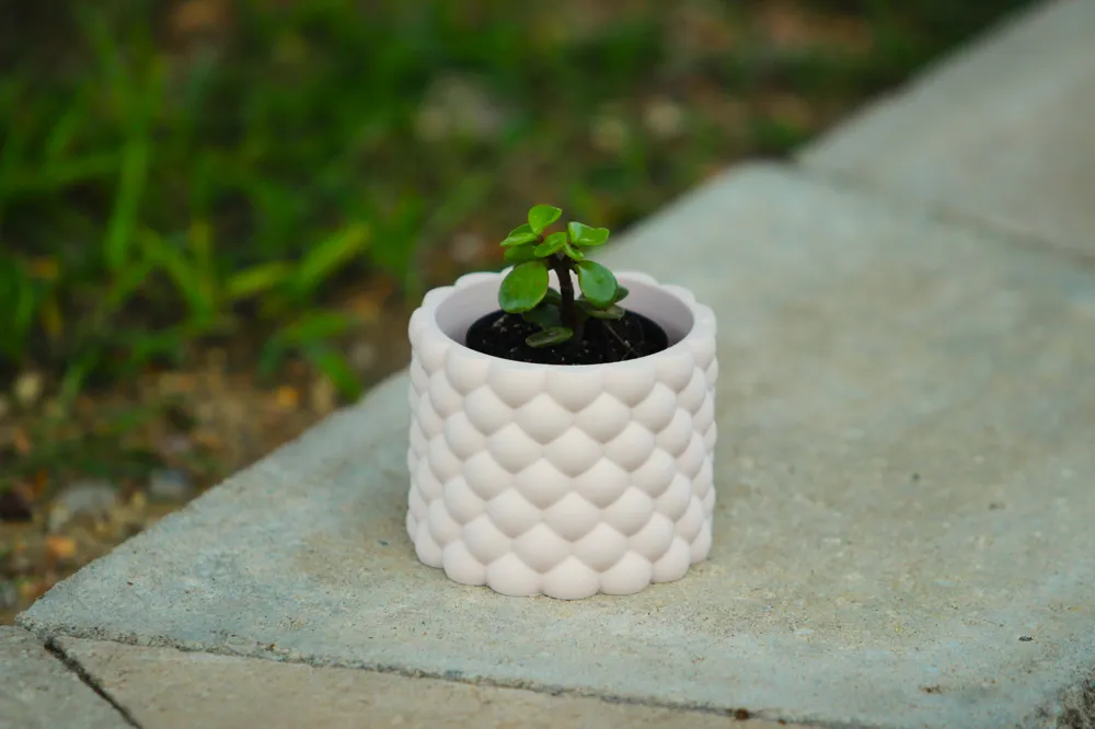 Modern Succulent Pot by Little Mac Designs - MakerWorld