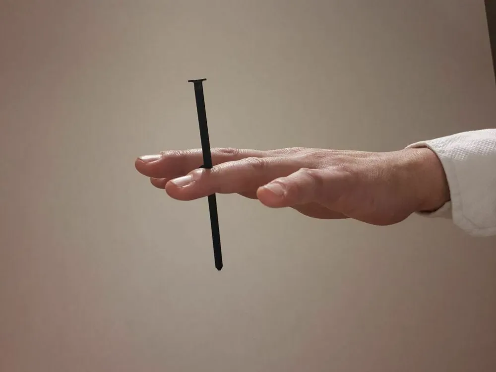 Nail through finger prank by DJSGXII - MakerWorld